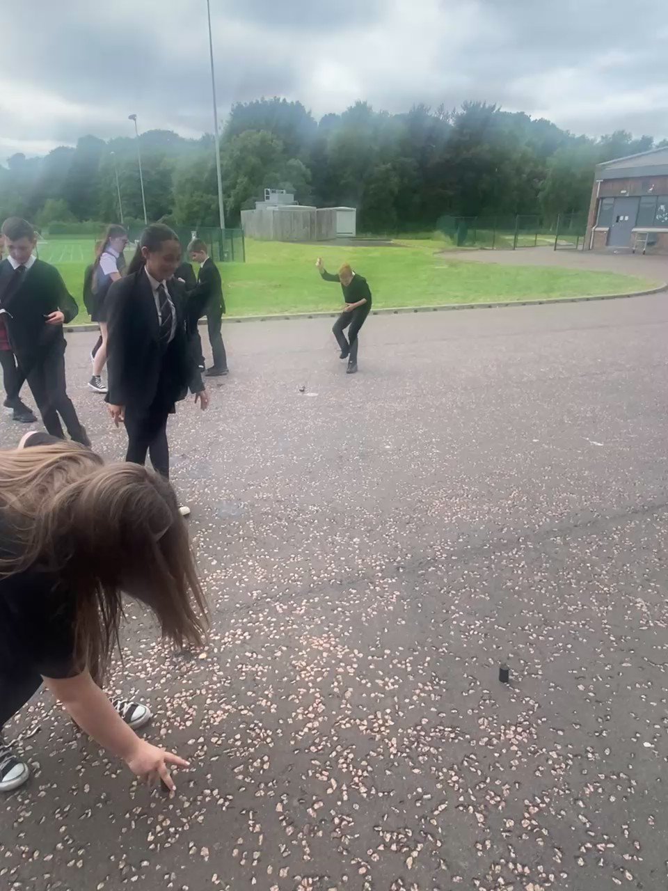 Ms Carty (@MsCartyScience) / Twitter