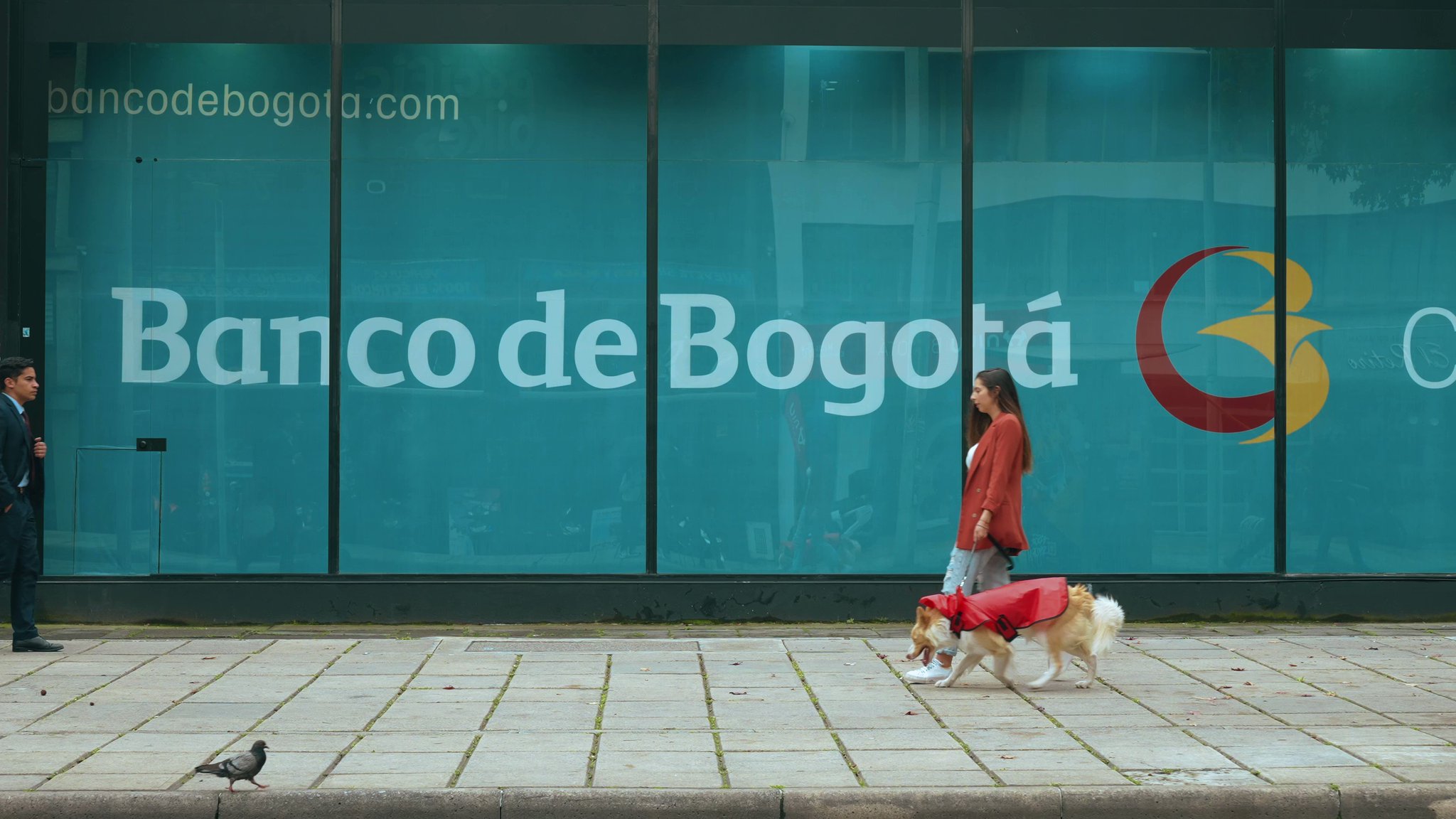 Banco de Bogotá on Twitter: "Sabemos que las mascotas hacen parte de nuestra vida, es por eso ...