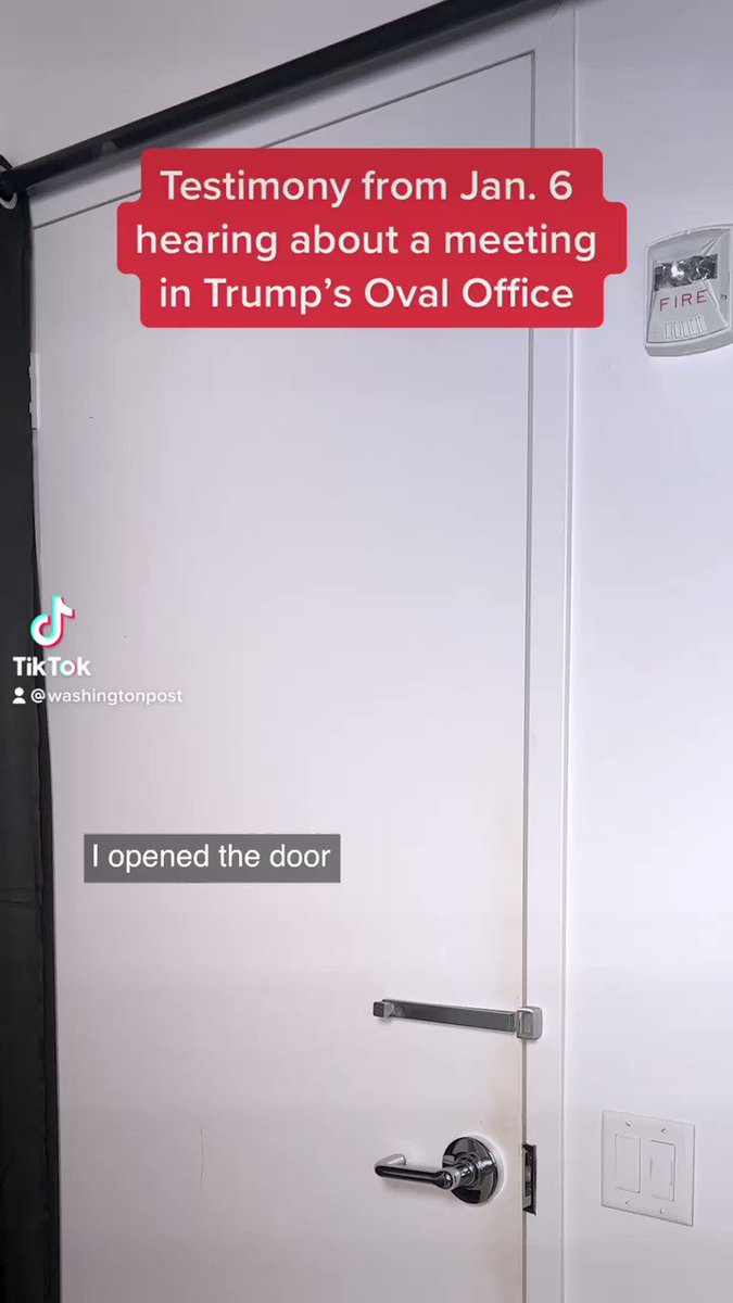 George Conway🌻 on Twitter: George Conway🌻 on Twitter: