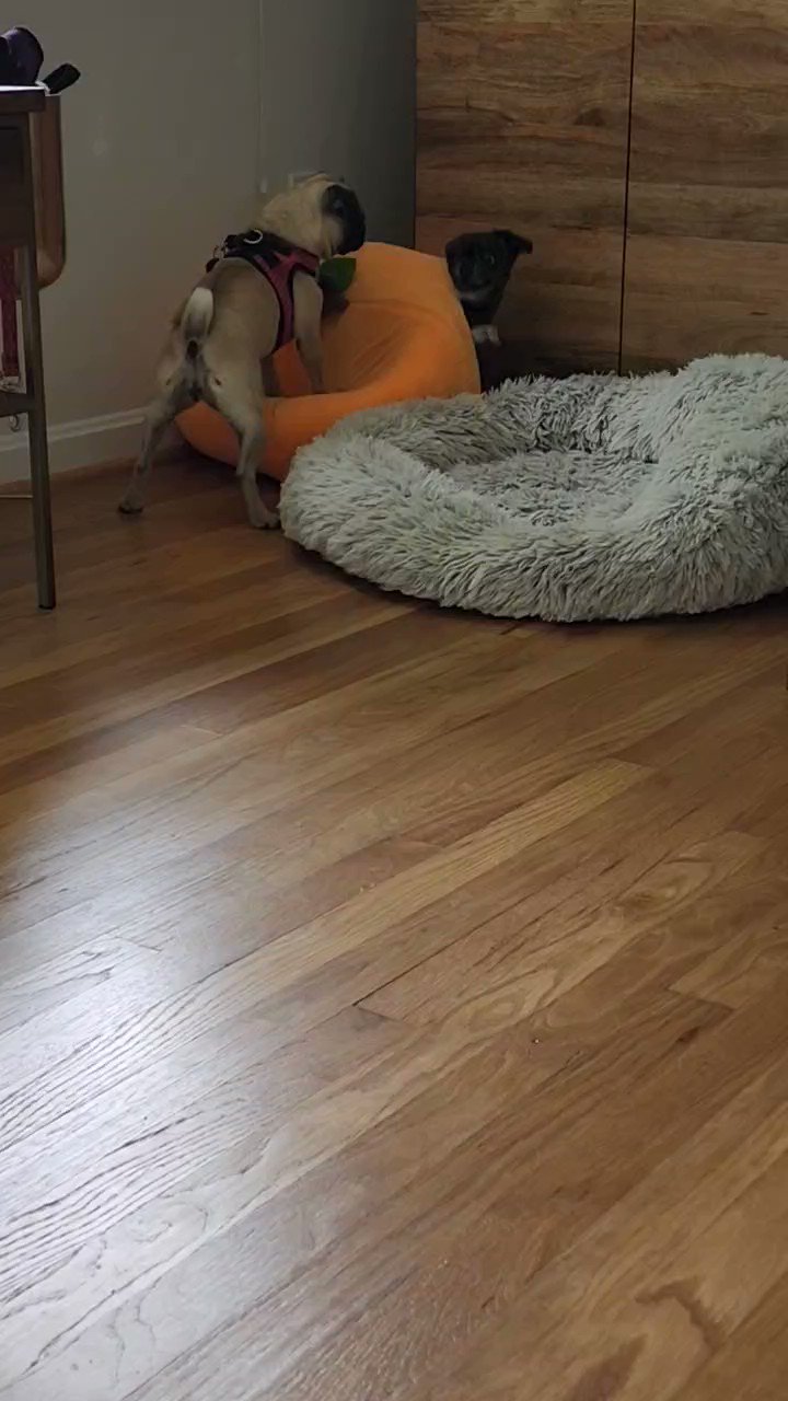 Bah Humpug on Twitter: Bah Humpug on Twitter: