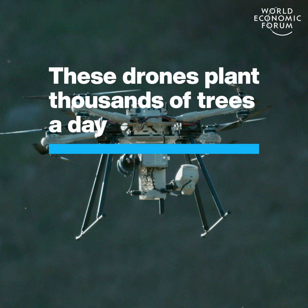 World Economic Forum on Twitter: "These seed-firing drones plant thousands of trees each day ...