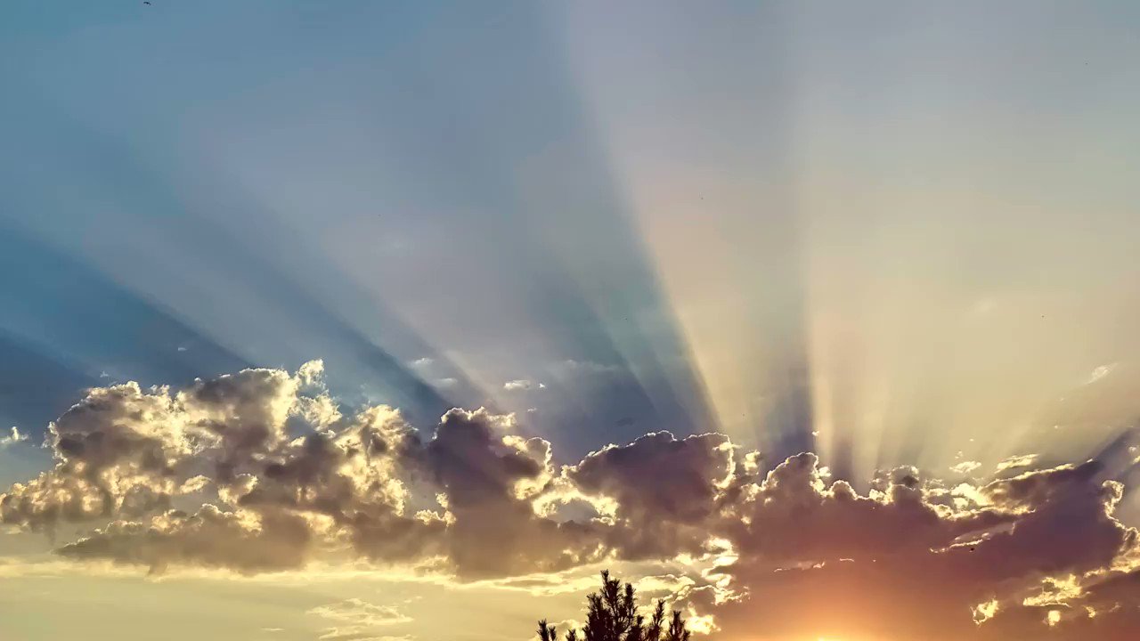 Buienradar (@BuienRadarNL) / Twitter