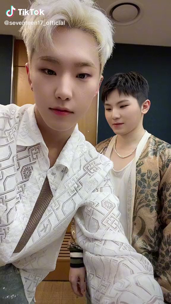 Miμμ°μ§π On Twitter Hoshi Woozi Tiktok Phowsbetfo