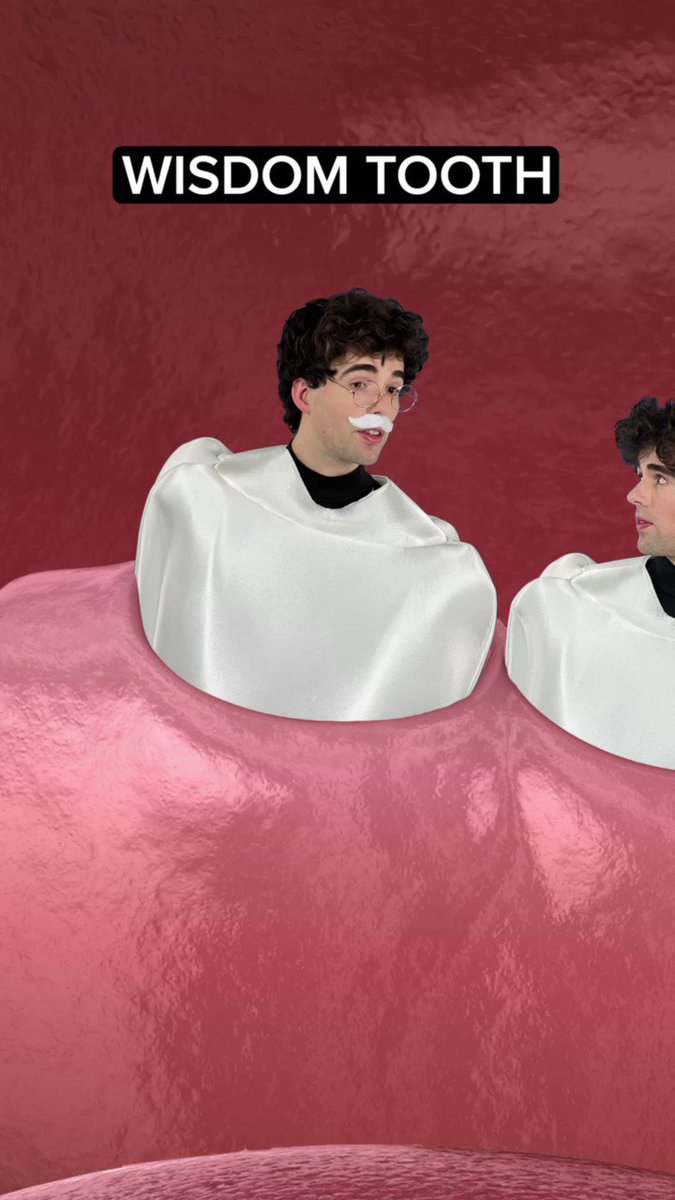 Add Your Name On Twitter RT adrianbliss Wisdom Tooth add-your-name-on-twitter-rt-adrianbliss-wisdom-tooth