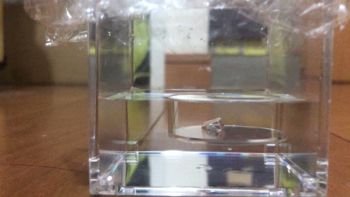 塩の結晶作り(101~200日目） - posfie