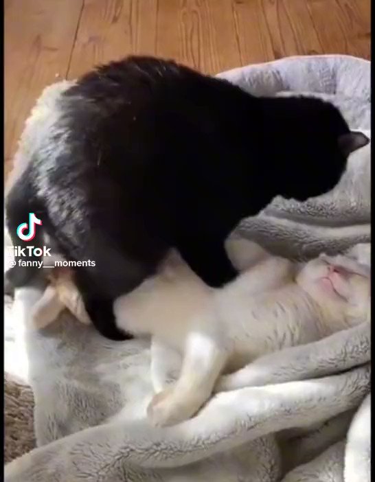 j3seer (@j3seer) / Twitter