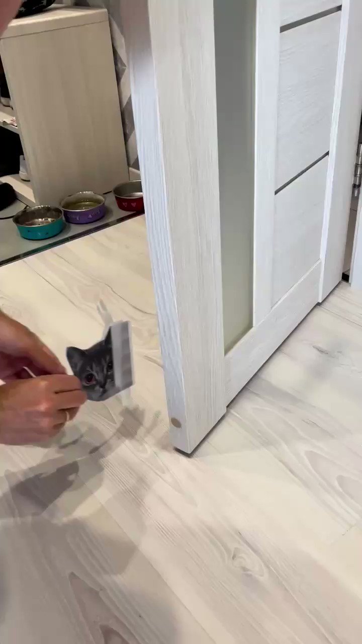 Pythonic Droid (@PythonicDroid) / Twitter