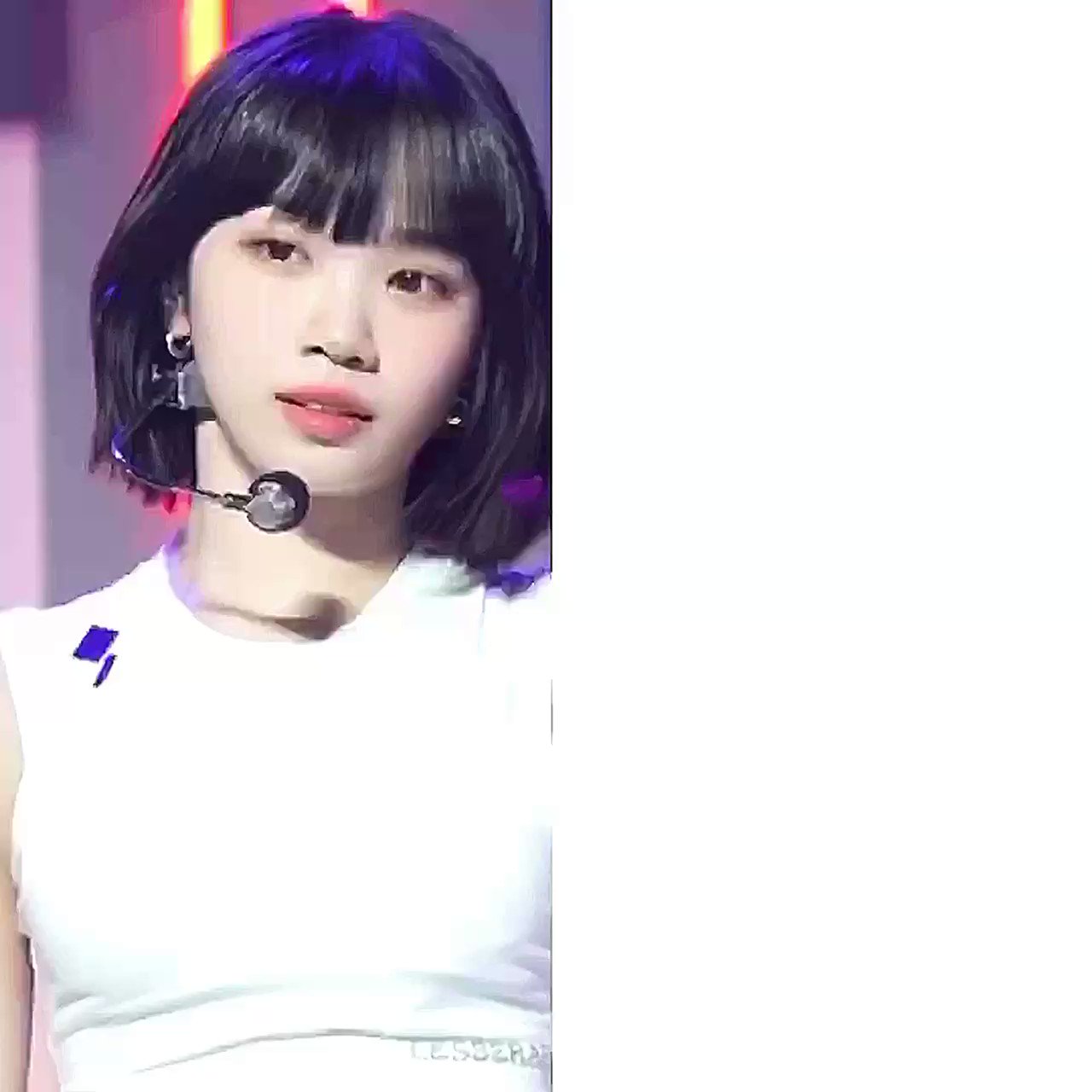 chaewon loops on Twitter: "bob vs bob https://t.co/AAjdJZpooK" / Twitter