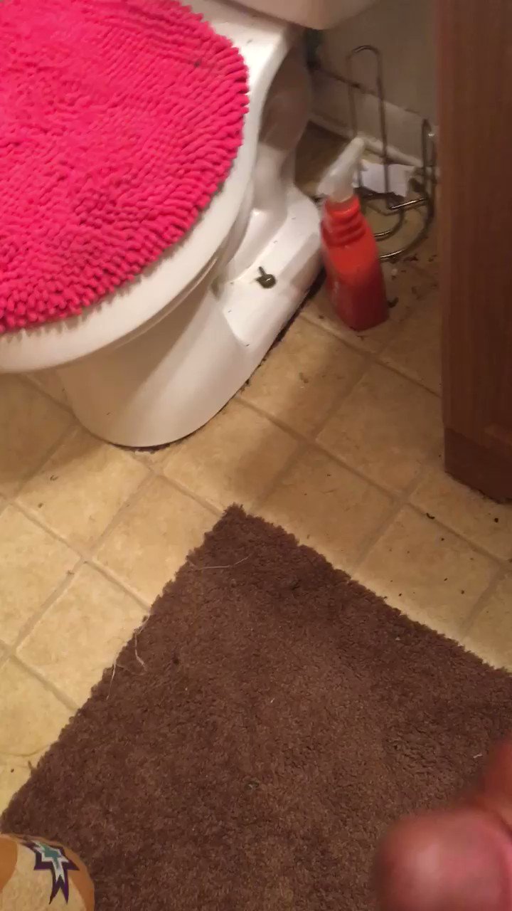 chapo💥 new page! on Twitter: "My step sister walked in and I nut her face was so priceless 😅# ...