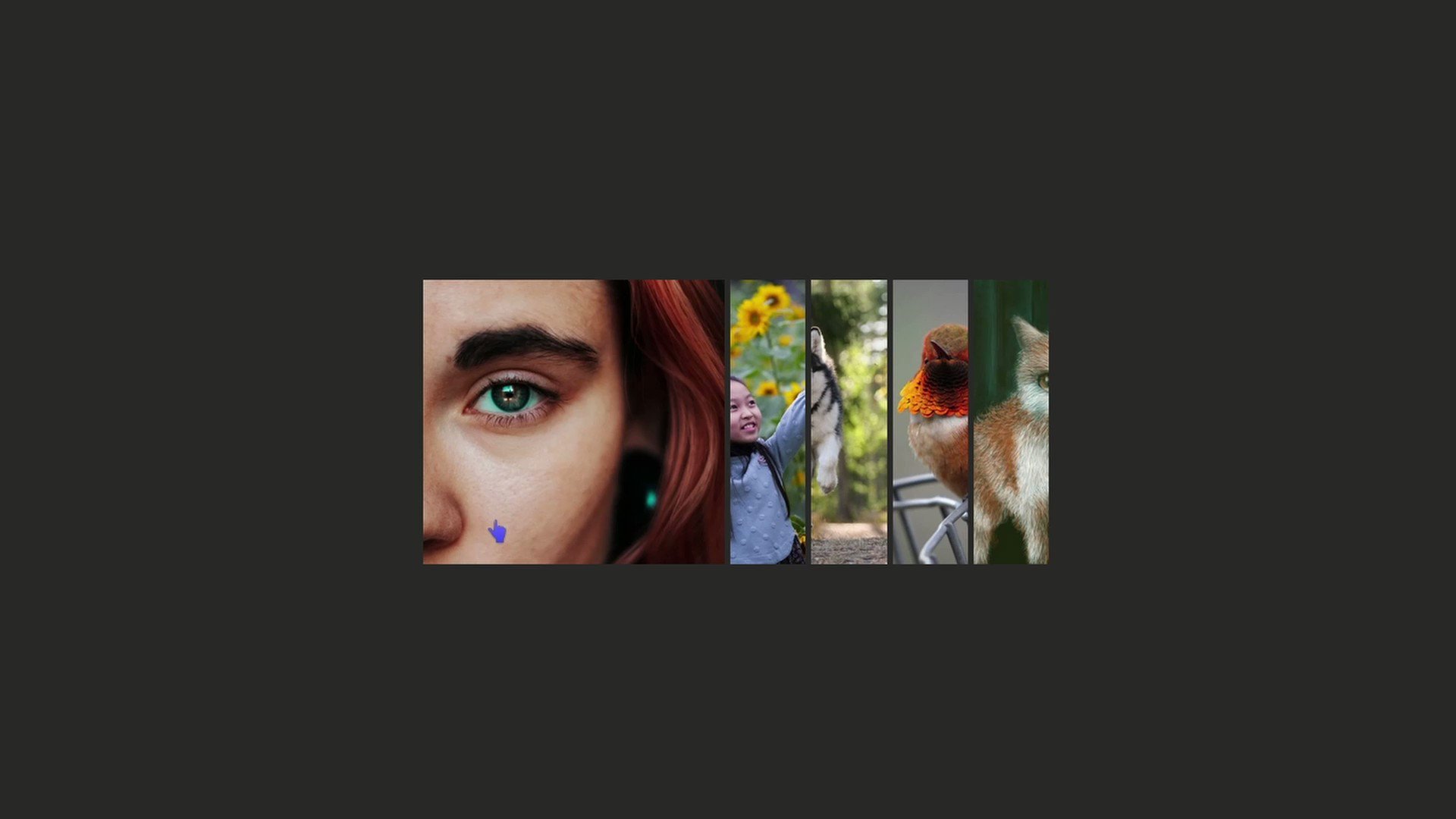 Geekboots on Twitter: "How to create a Amazing Image Gallery using HTML CSS only Full Video ...