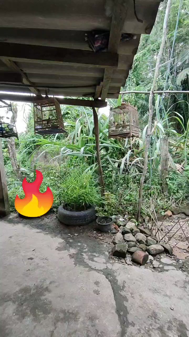 P.AUSAMAN💞 (@AusamanPhongla1) / Twitter