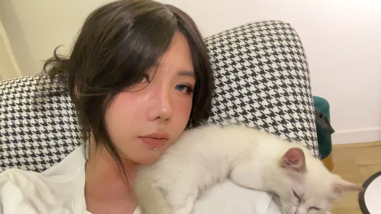 十六夜淚 On Twitter Xrgynuerso Twitter
