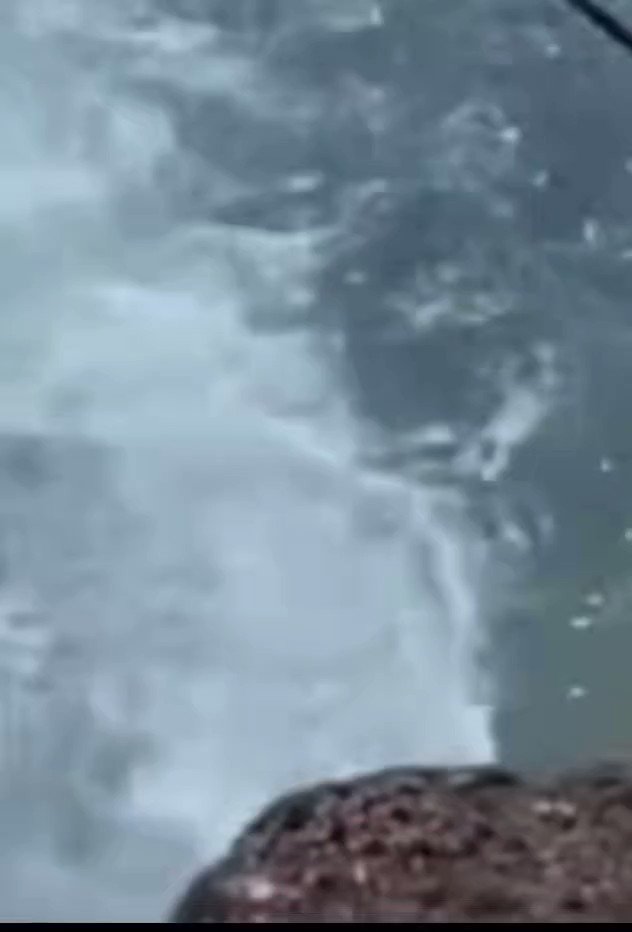 Swanie on Twitter: "https://t.co/kTNk7aTPmV" / Twitter