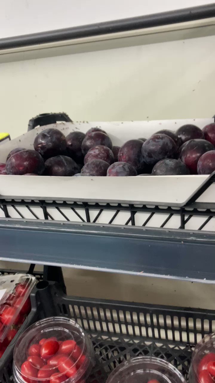 kurbağa gözlerim neler görüyor? (@esolas_) / Twitter