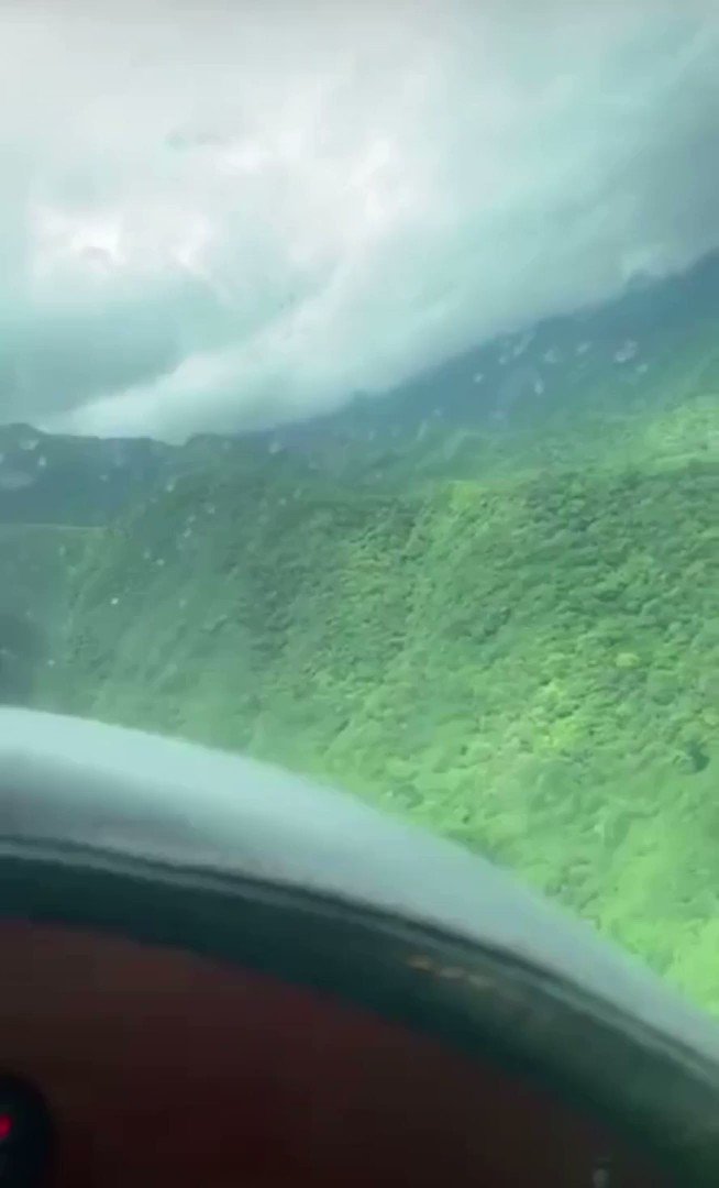 Dusty (@dusty_daemon) / Twitter