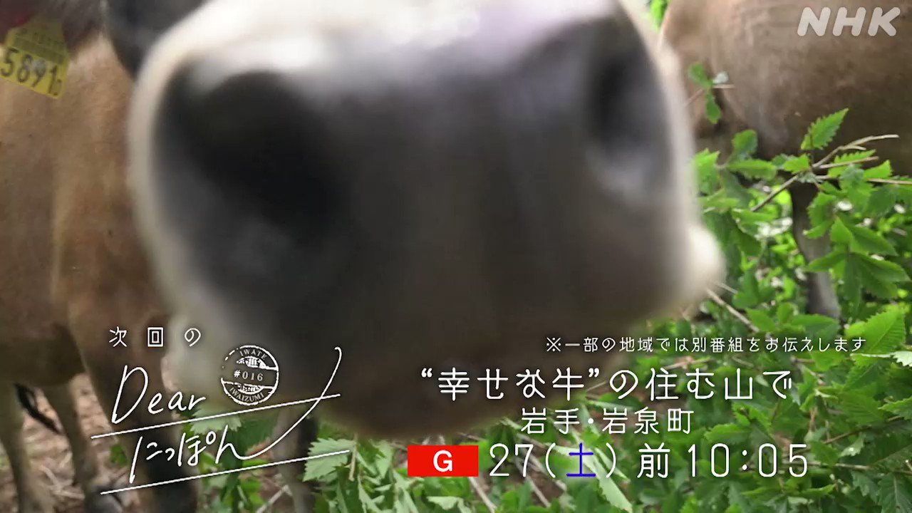 milet（ミレイ） on Twitter: "おはようございます。 このあと10:05〜 放送 NHK総合『Dear にっぽん』 「”幸せな牛”の住む山で 岩手・岩泉町」でナレーションをさせ ...