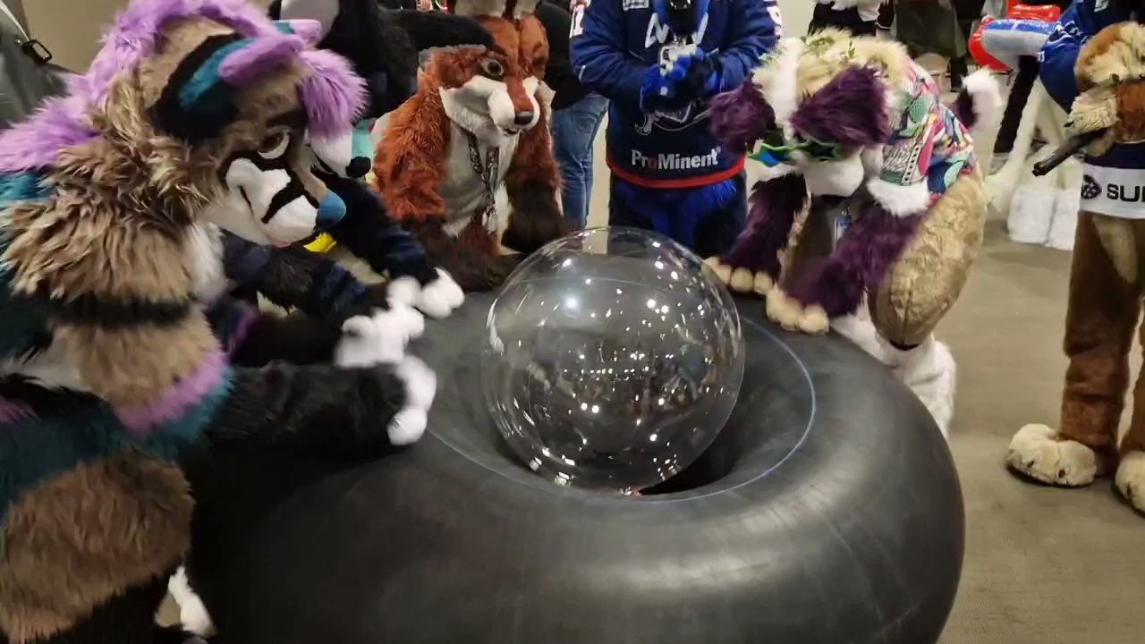 Dorky folf Skylar postEF26💜 (@Skylarfolf) / Twitter