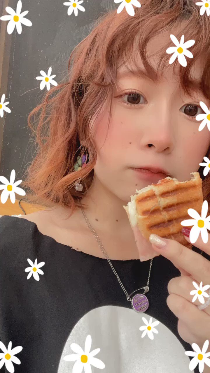 🥑Tippy🌻 on Twitter: "https://t.co/cHlA8KbBAp" / Twitter