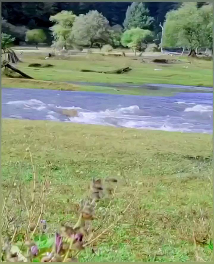 @mini_mewz on Twitter: "@miinii_mewzz https://t.co/xSQxLU89VG" / Twitter