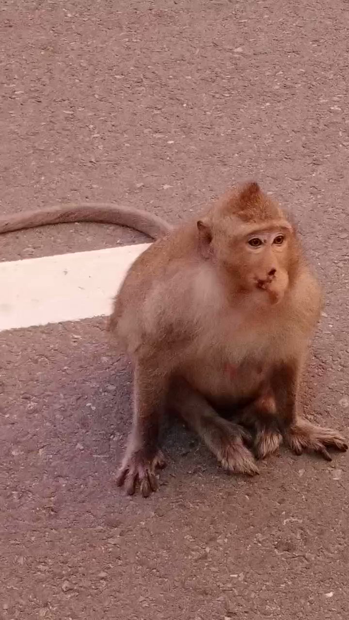 So Phearak (@sophearak83) / Twitter