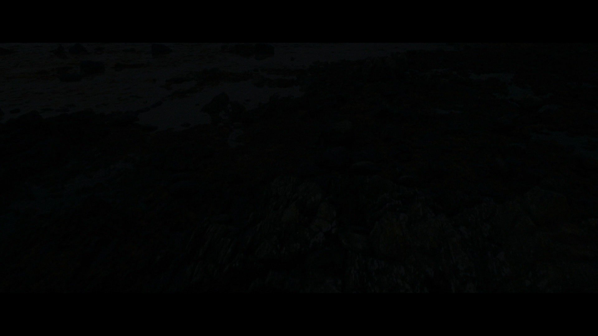 Raphael Vicas (@RaphaelVicas) / Twitter