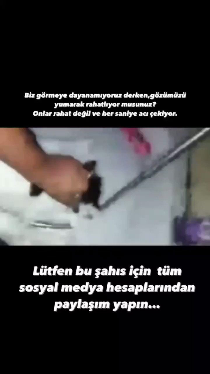 Volki💙🦋Tolki (@Volkan63657427) / Twitter Volki💙🦋Tolki (@Volkan63657427) / Twitter