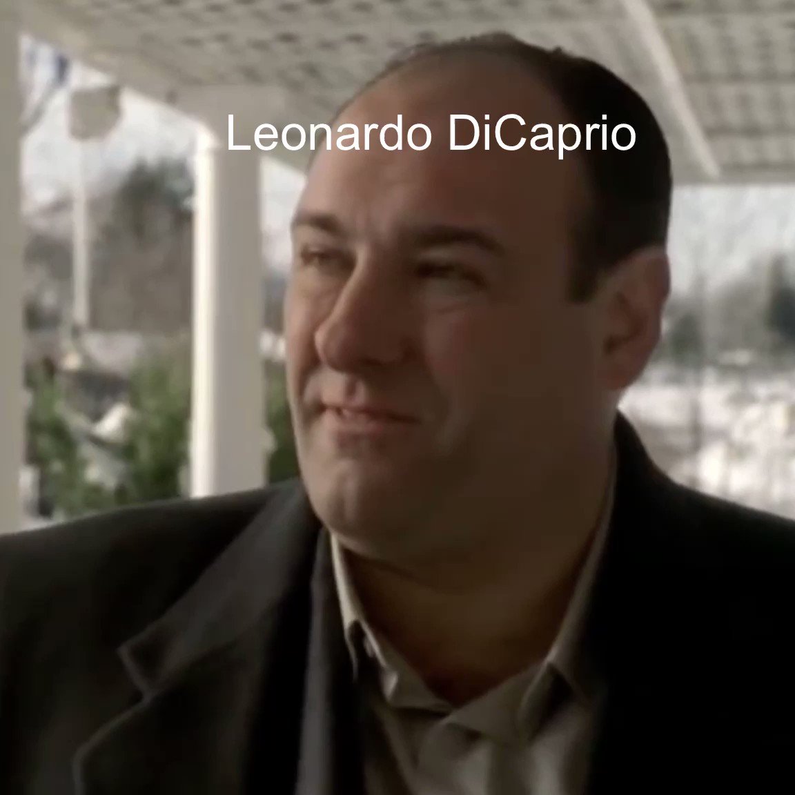 Sopranos Memes on Twitter: "There are no scraps in Leonardo DiCaprio’s ...