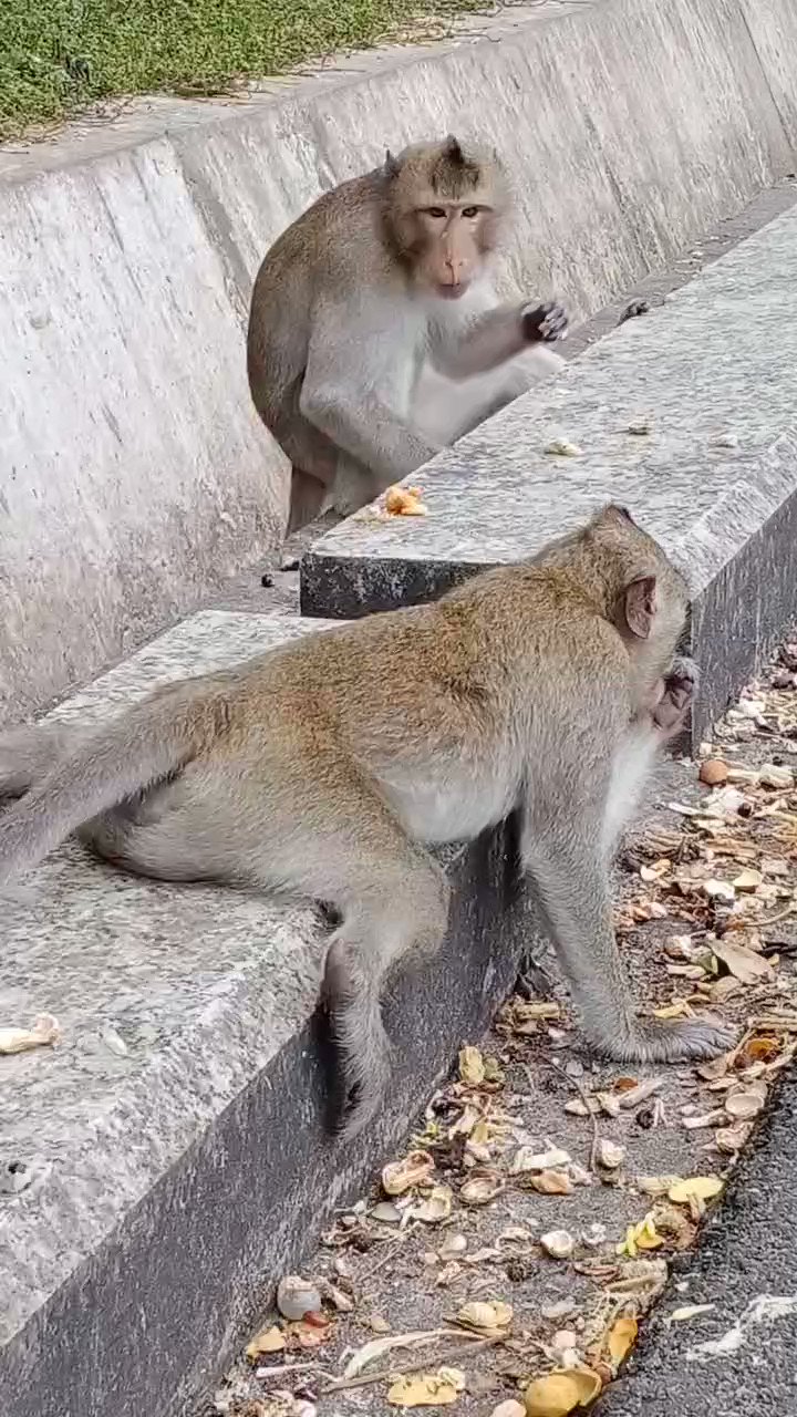 So Phearak (@sophearak83) / Twitter