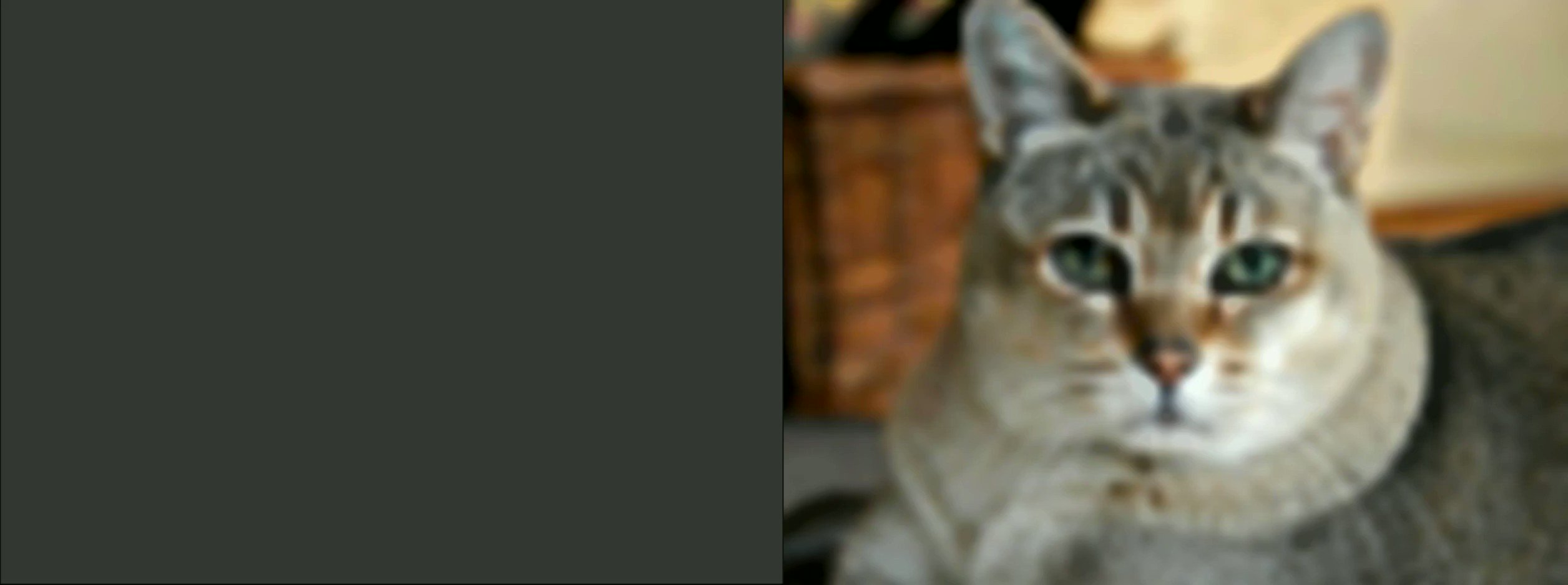 Moritz Firsching (@MoritzFirsching) / Twitter