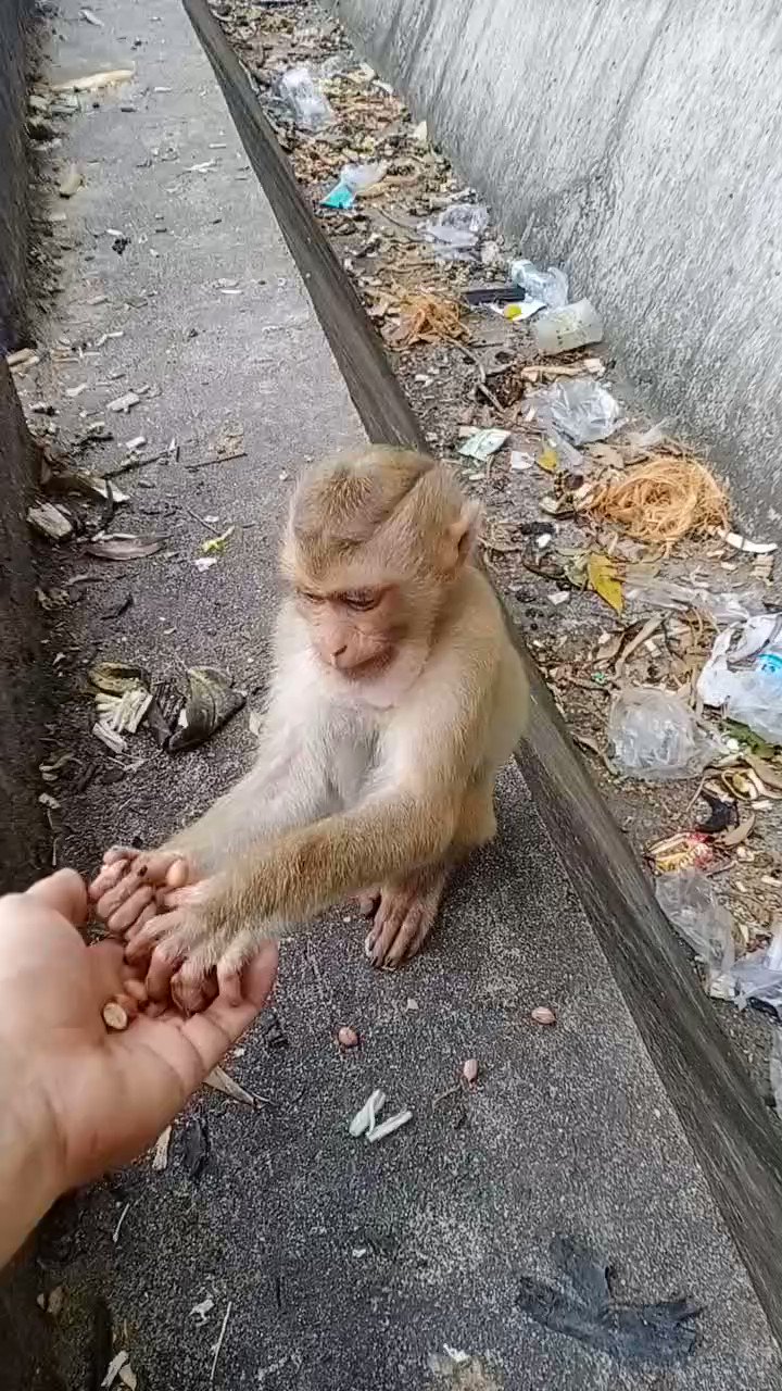 So Phearak (@sophearak83) / Twitter