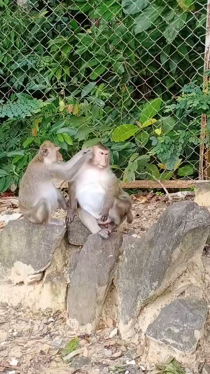 So Phearak (@sophearak83) / Twitter