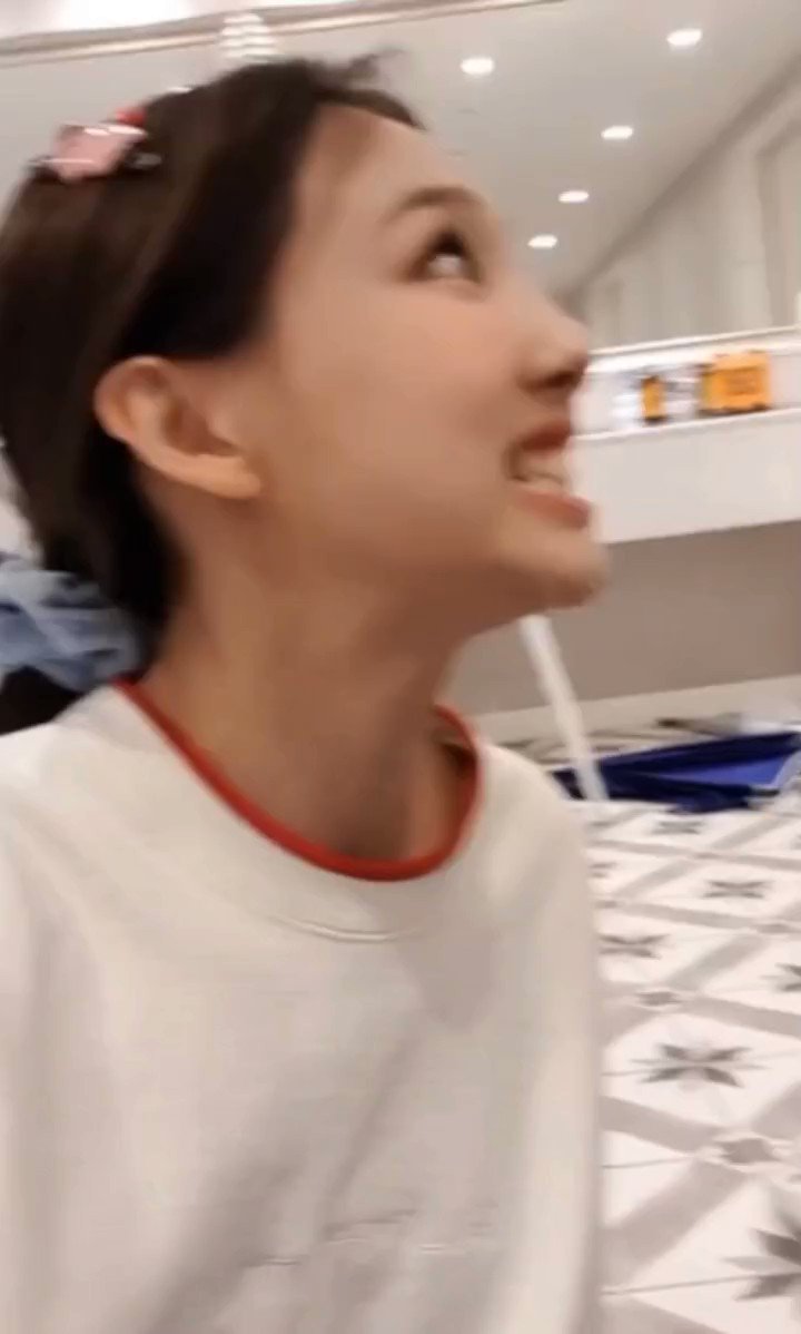 on Twitter: "THEYRE SO CHAOTIC 😭😭😭 https://t.co/Tg4g3PWgPt" / Twitter