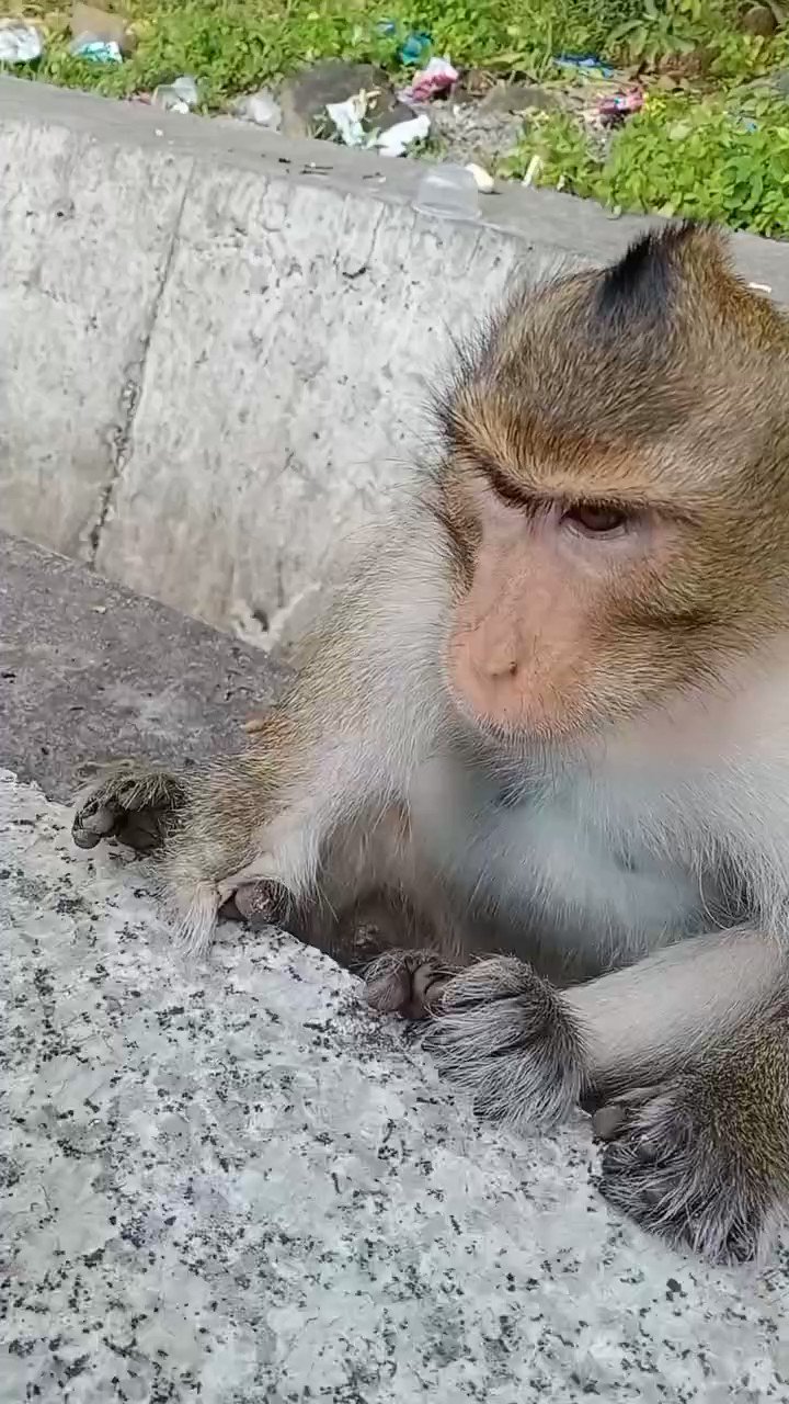 So Phearak (@sophearak83) / Twitter