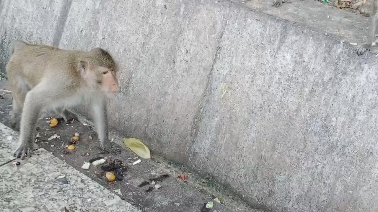 So Phearak (@sophearak83) / Twitter