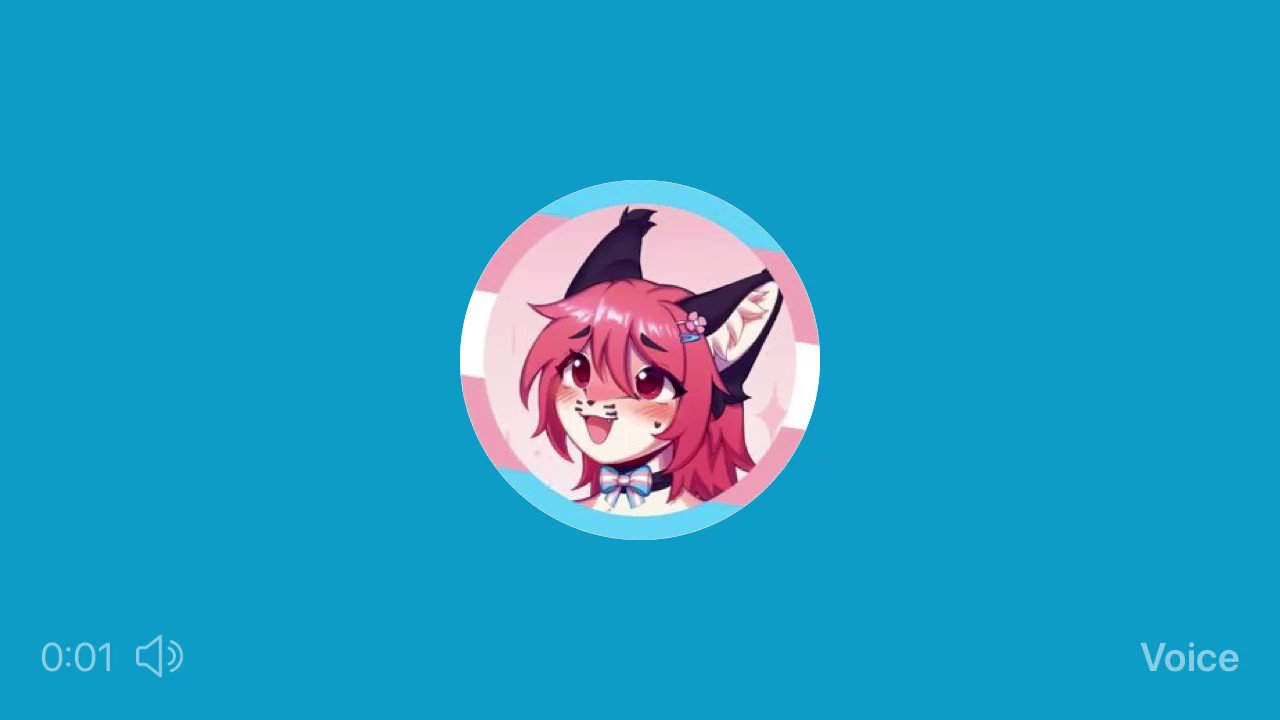 skalx 🐈 on Twitter: "https://t.co/YvQavxRwrA" / Twitter