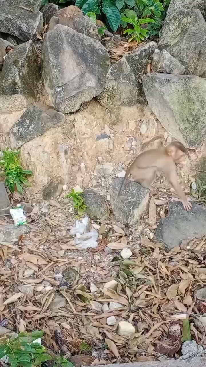 So Phearak (@sophearak83) / Twitter