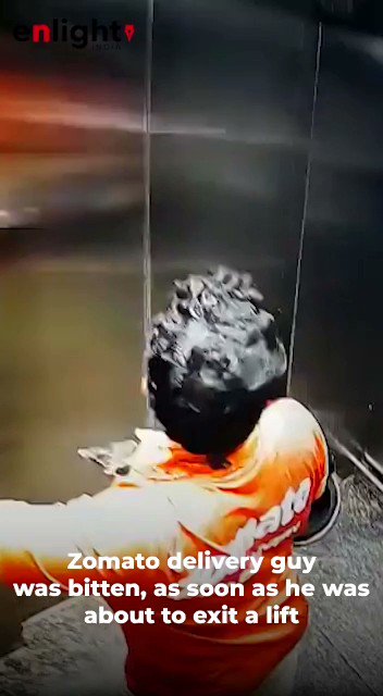 Enlight India on Twitter: "An Indiabulls resident's pet dog bite a Zomato delivery person as he ...