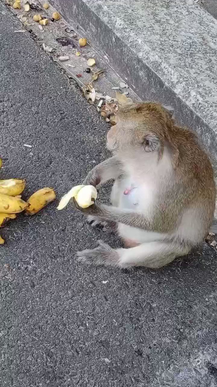 So Phearak (@sophearak83) / Twitter