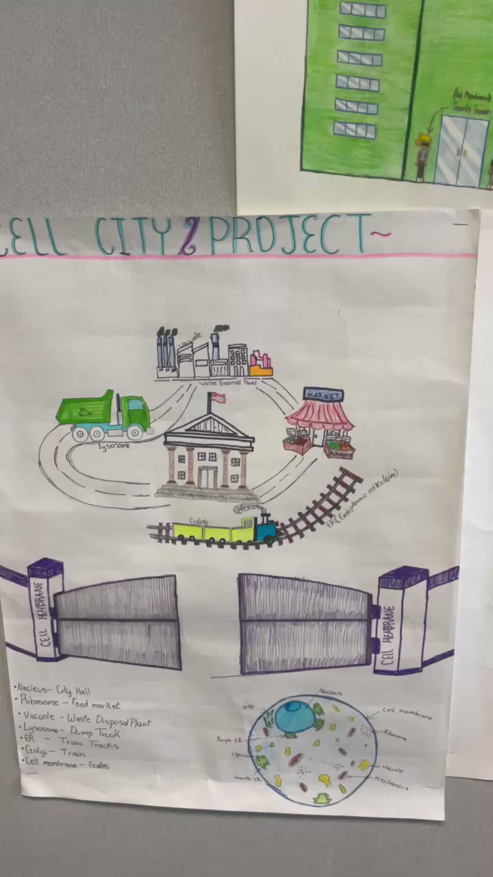 Cell City Project Drawing