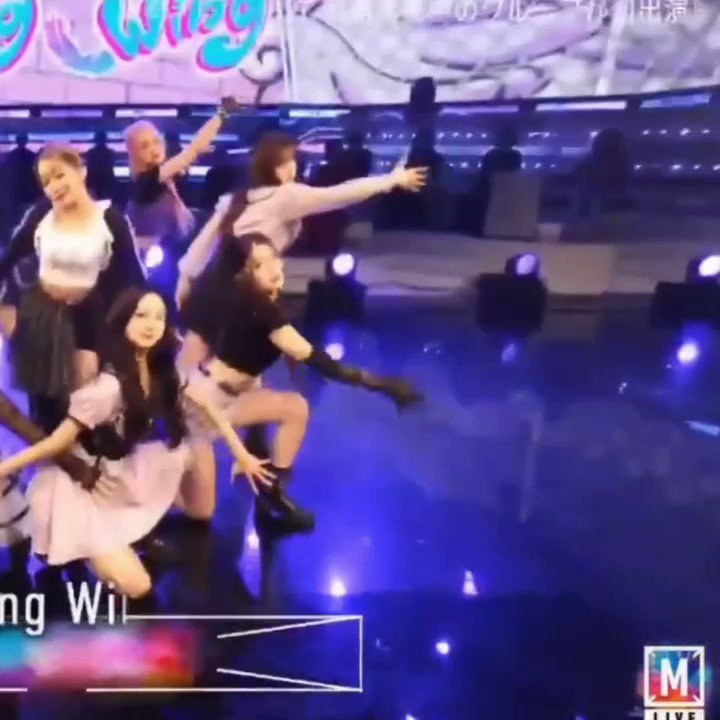 망고 on Twitter: "220909 Wing Wing #샤오팅 https://t.co/n5kRdaAbec" / Twitter