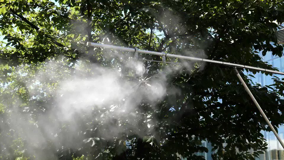 今週のさむさむ散歩（どよんからかなあつまで） - posfie