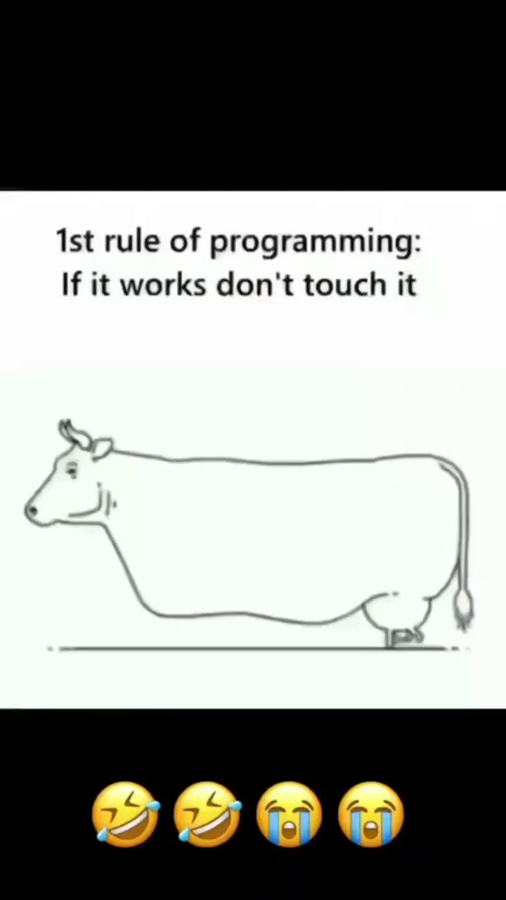 Turay On Twitter Dont Touch 😅 Memes Programmingmemes Codinglife Javascript 100daysofcode 