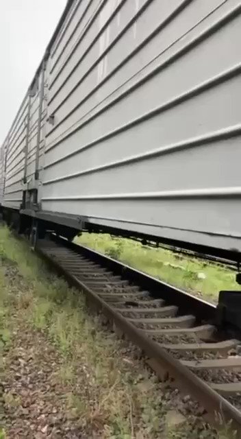 Fema Trains And Guillotines