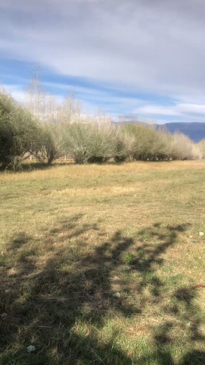 Erdenebaatar Kh🇲🇳🇺🇦 On Twitter Rt Goy Ganaa Алс хязгаар Ховд
