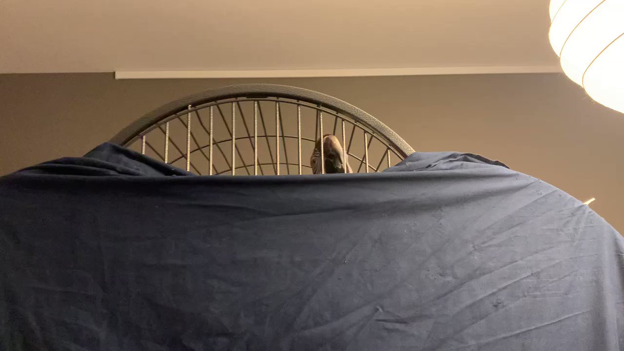 Hideaki Utsumi on Twitter: "Good morning🥝🥚O Ha Yo https://t.co/wHc26PHkqs @YouTube https://t.co ...