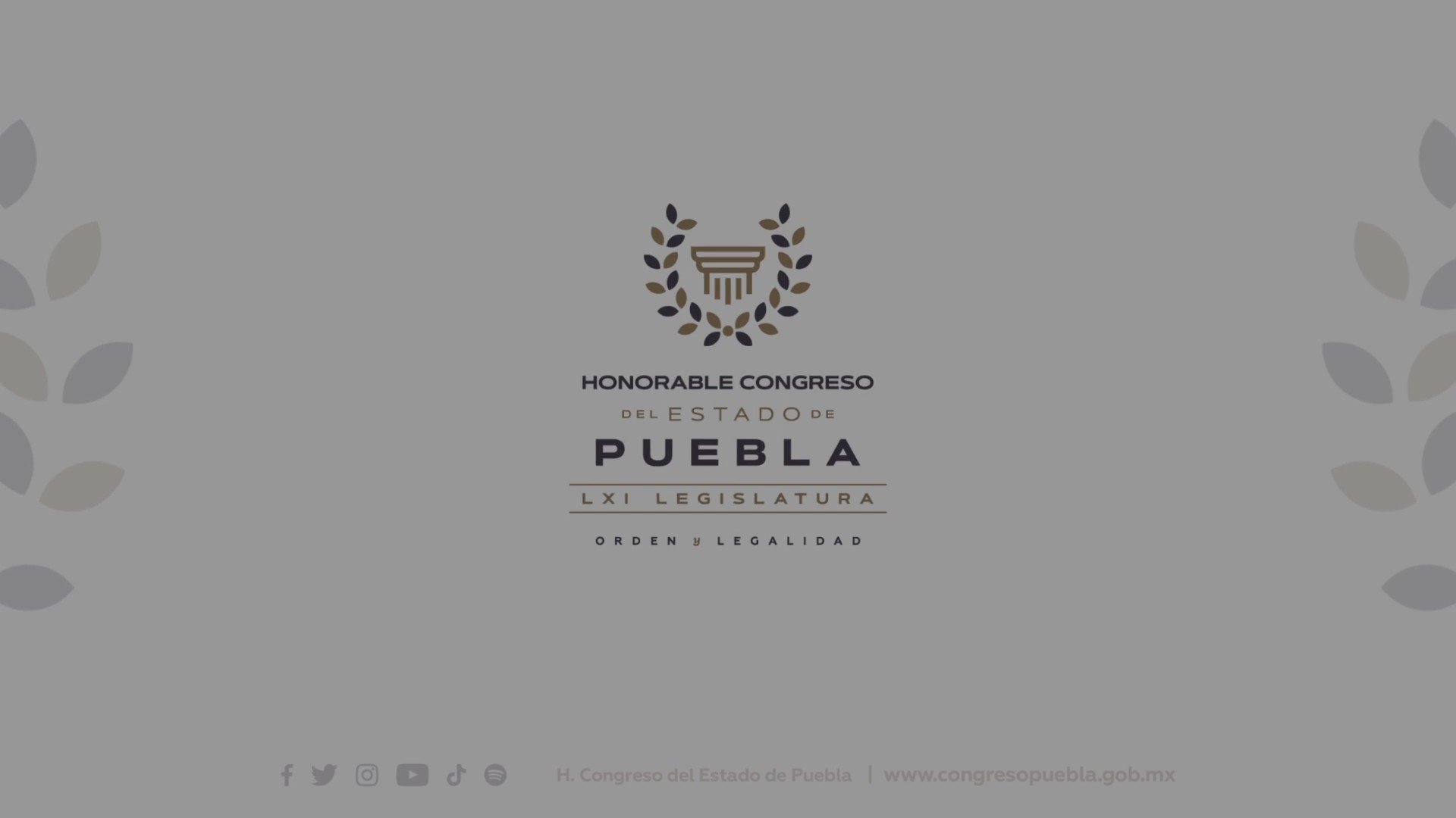 Shamy Spezia (@shamy_spezia) / Twitter