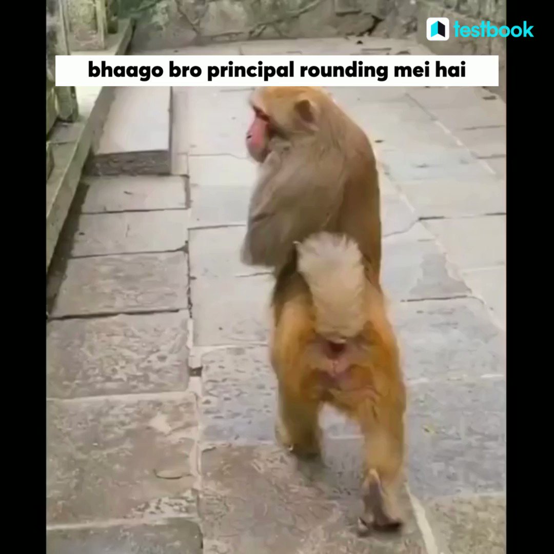 Testbook On Twitter If This Ever Happened To You Fill The Comment 