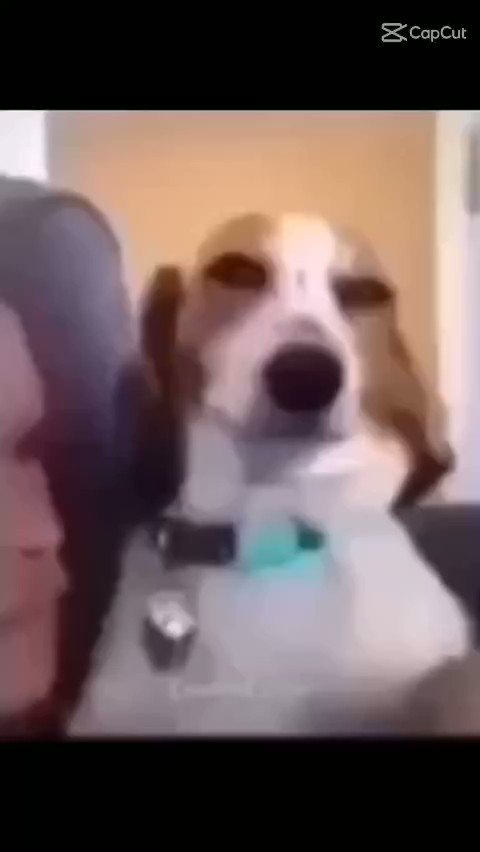 bokep indo viral videomesum BOKEP XXX on Twitter: "I stuck my finger in my sister's vagina ...