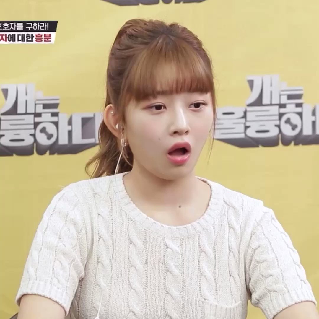 😧 레이 아카이브 Archiverei