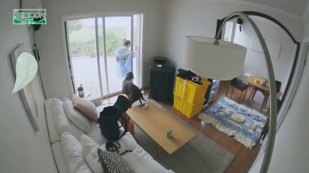 Devon on Twitter: "RT @iJIKOOKGAY: #JIKOOK: La familia como Dios la diseñó:"